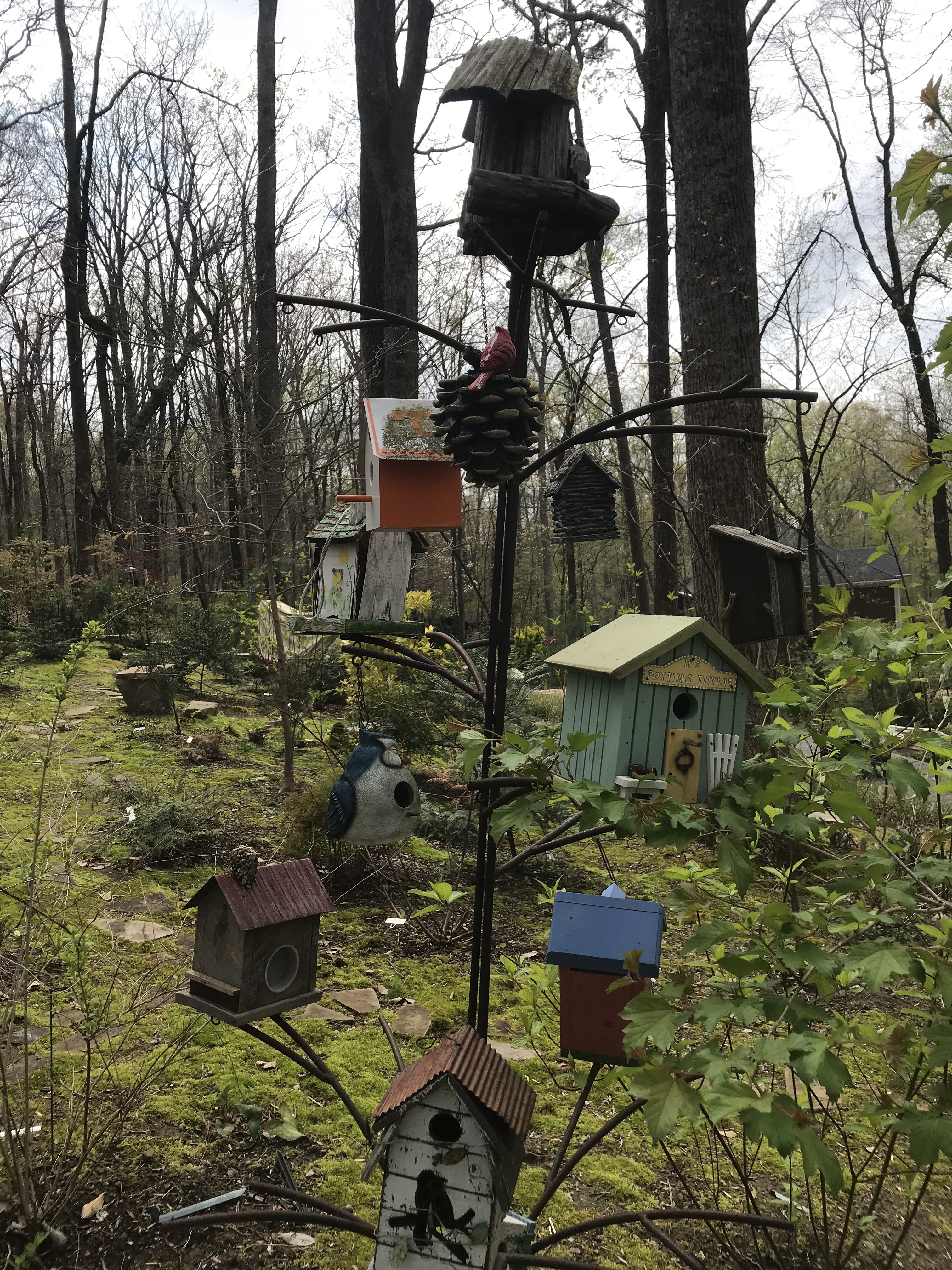 Decor Bird House Tree | Randy Stewart's Garden
